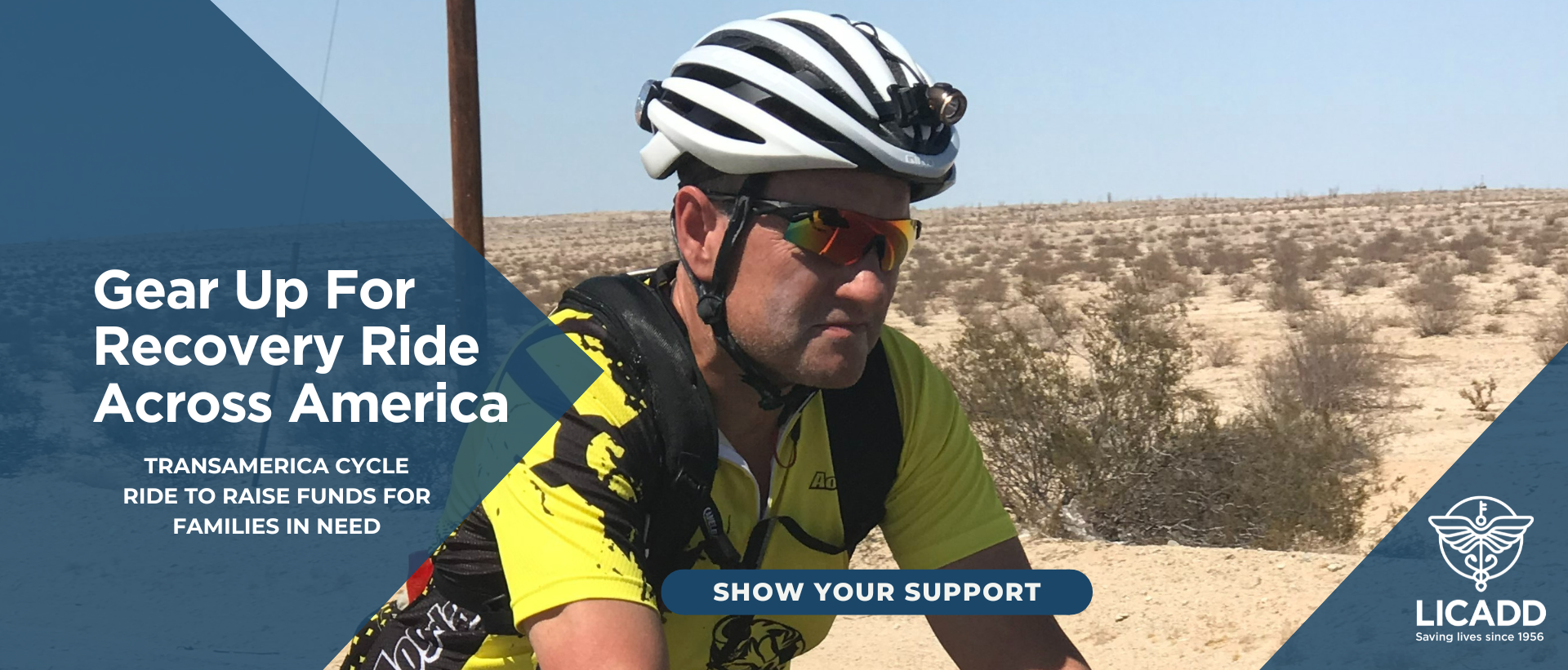 LICADD | Long Island Council On Alcoholism and Drug Dependence